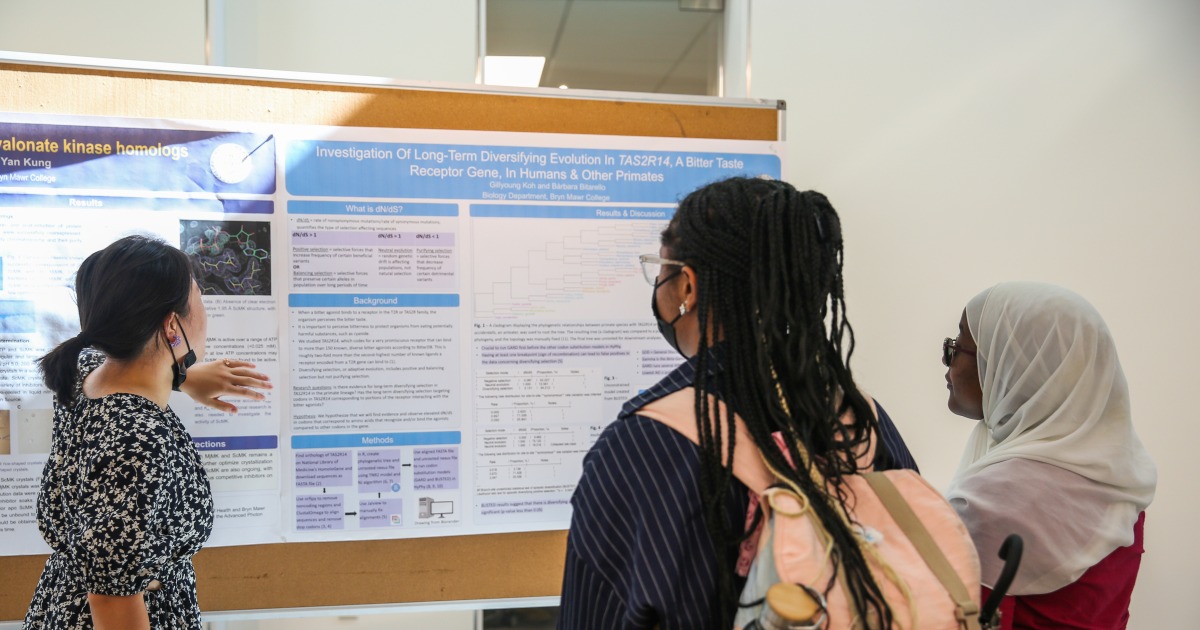 Summer Science Research | 2004 Program